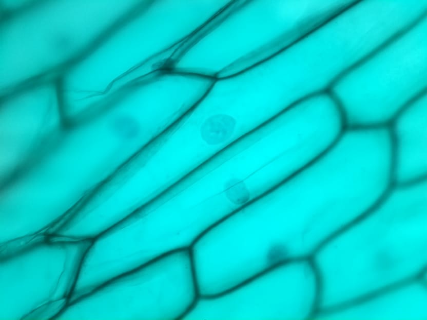 OpenFlexure Microscope Kits Now Available