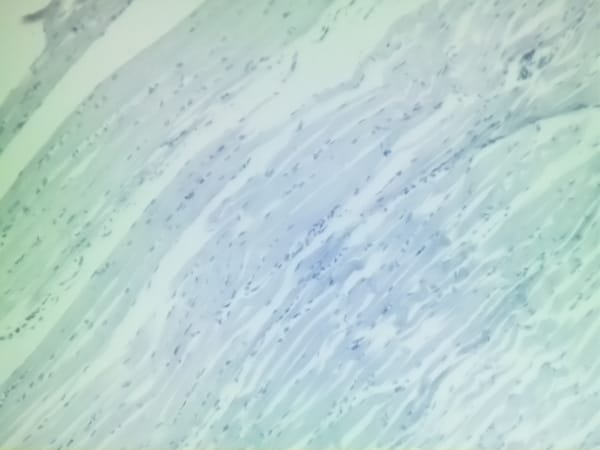 Spotlight: Building an OpenFlexure Microscope